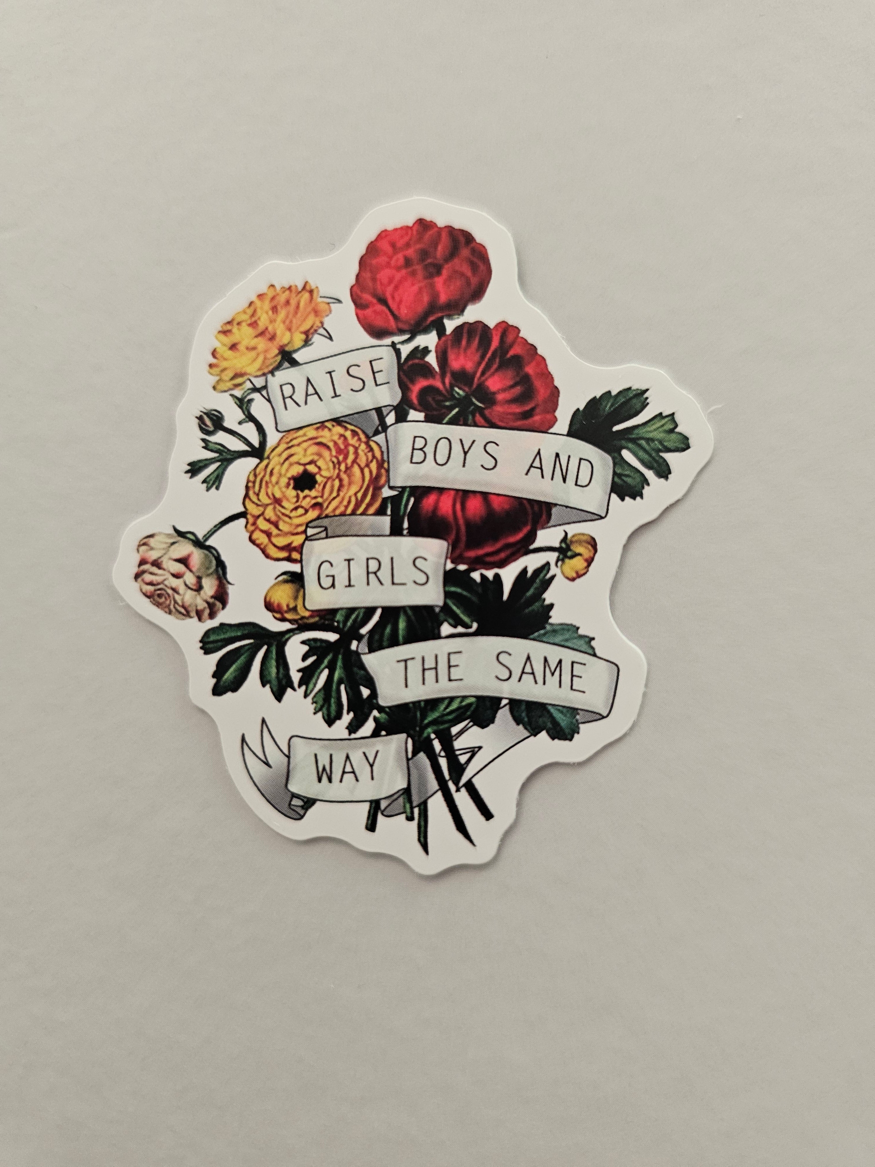 Raise Boys And Girls The Same Sticker – Snark Gifts